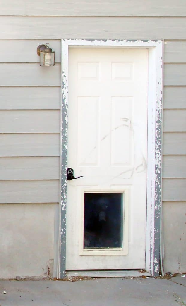 An Easy Side Entrance Makeover - Chris Loves Julia