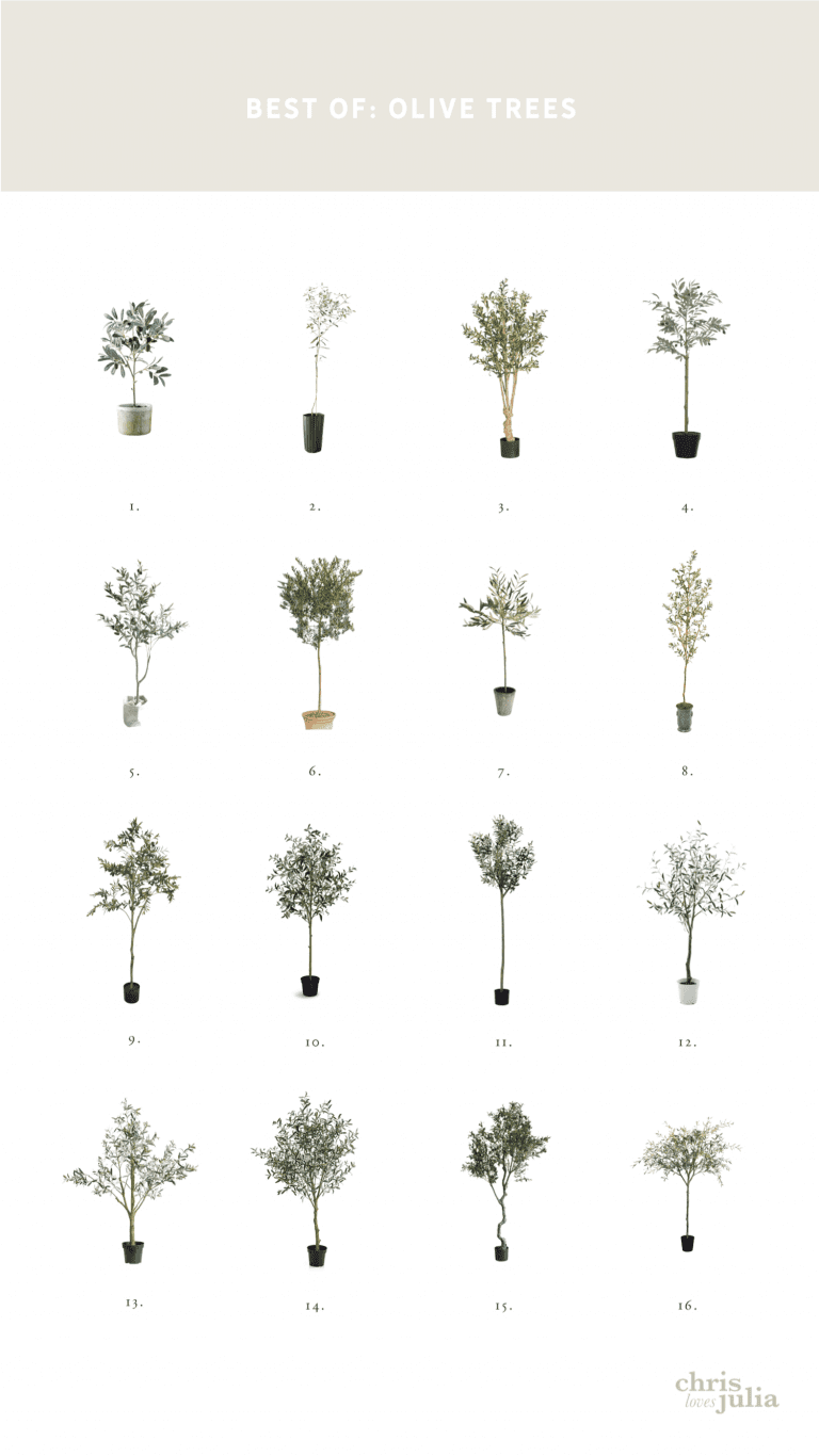 Our Two New Olive Trees (One Real and One Faux) and a Round-up of the ...
